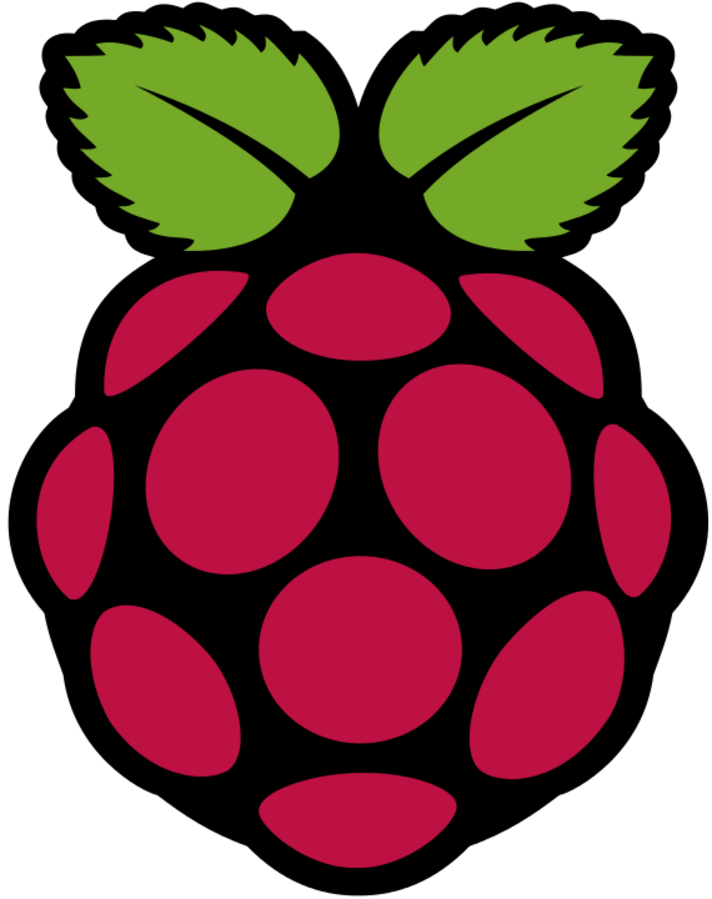 پرونده:Raspberry-pi-logo.svg - ویکی فارسی اوبونتو