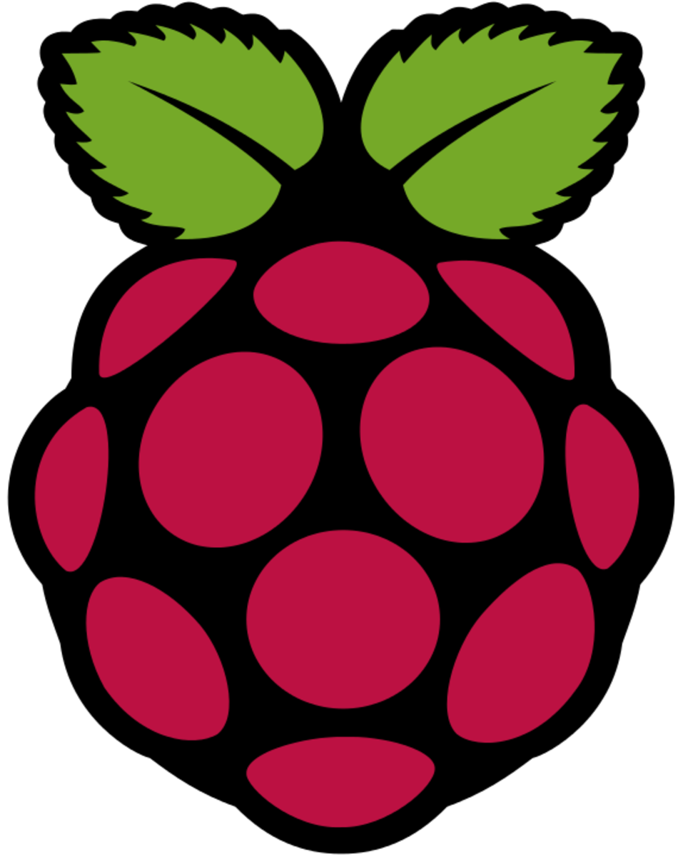 پرونده:Raspberry-pi-logo.svg - ویکی فارسی اوبونتو